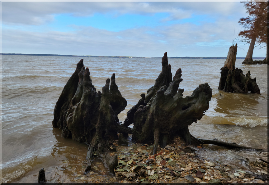 PIPSICO FOSSIL DIG OCTOBER 2022
