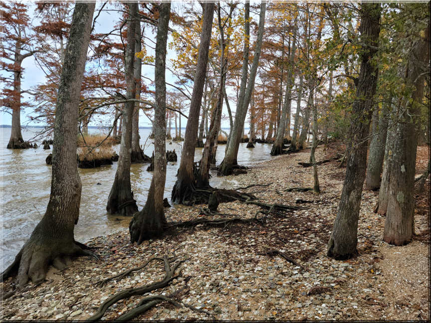 PIPSICO FOSSIL DIG OCTOBER 2022