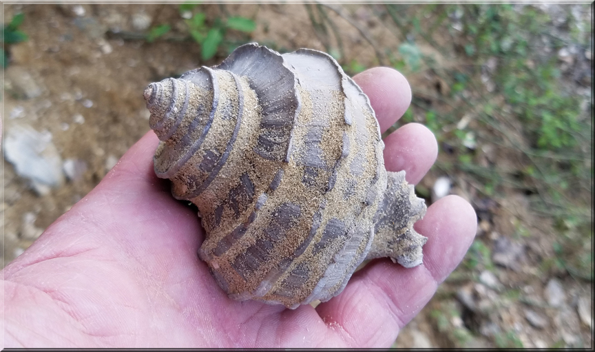 MAGMA EVENTS RICK JACQUOT