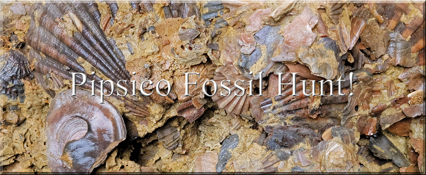 MAGMA EVENTS RICK JACQUOT